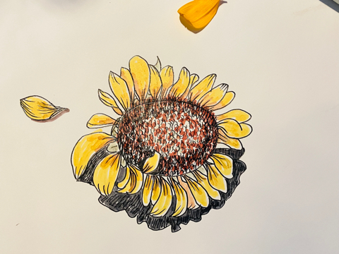 画起来就好_欣晴1997-站酷ZCOOL