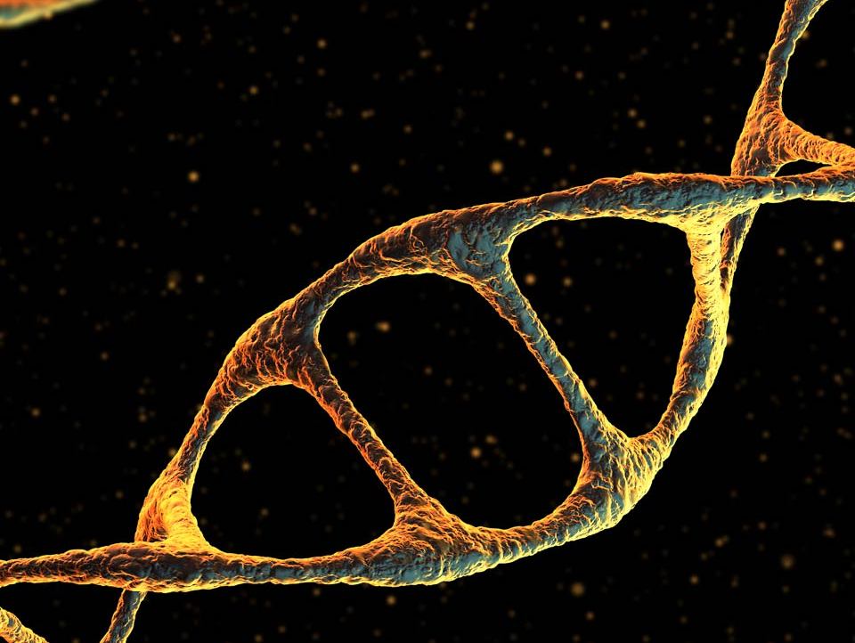 DNA_印悟-站酷ZCOOL