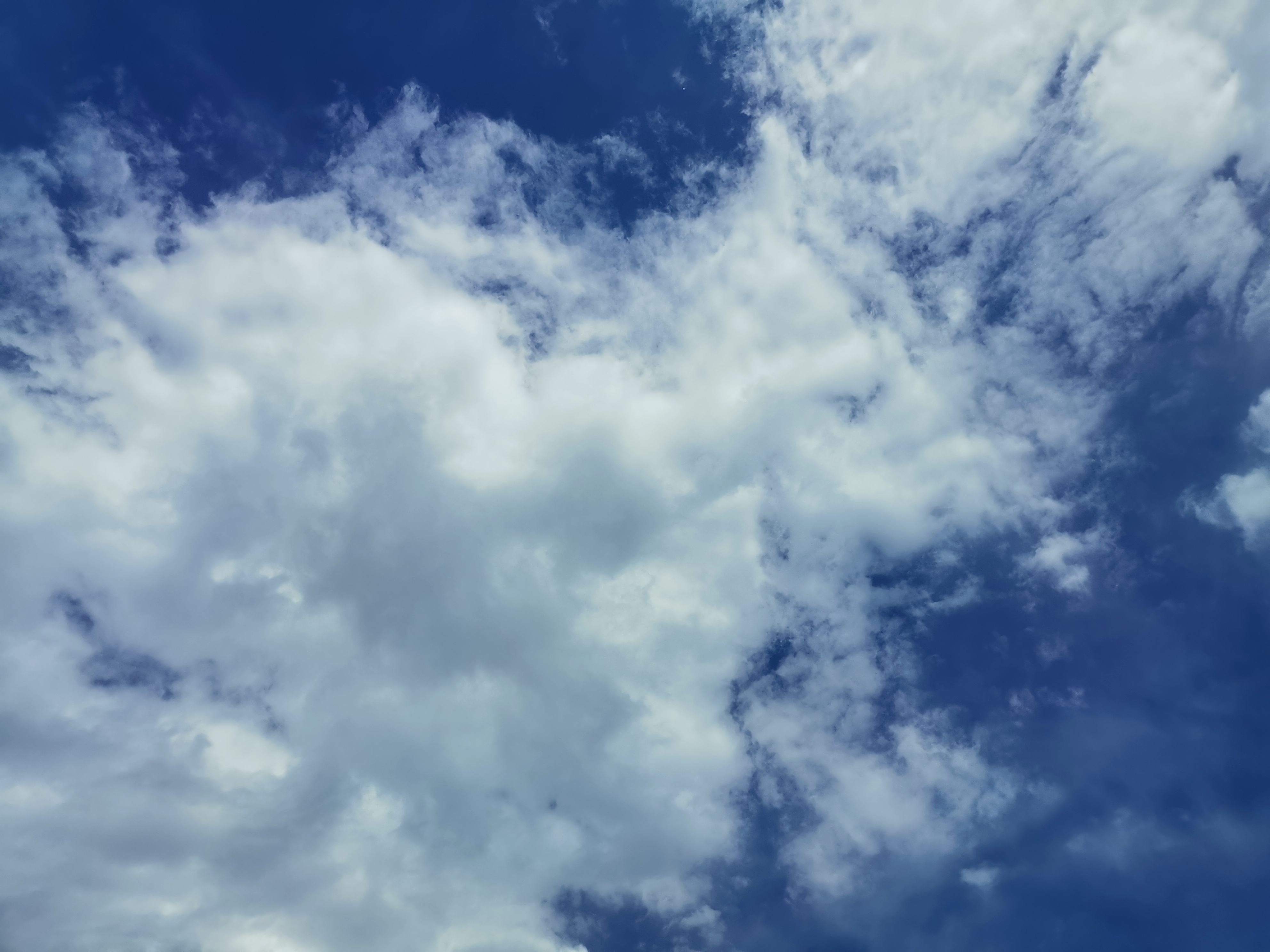 难得的好天气_大王打小王_ning-站酷ZCOOL