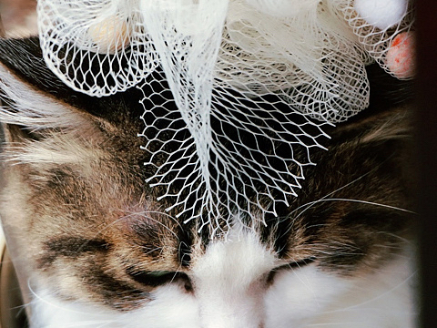 我的_KULLOO-站酷ZCOOL