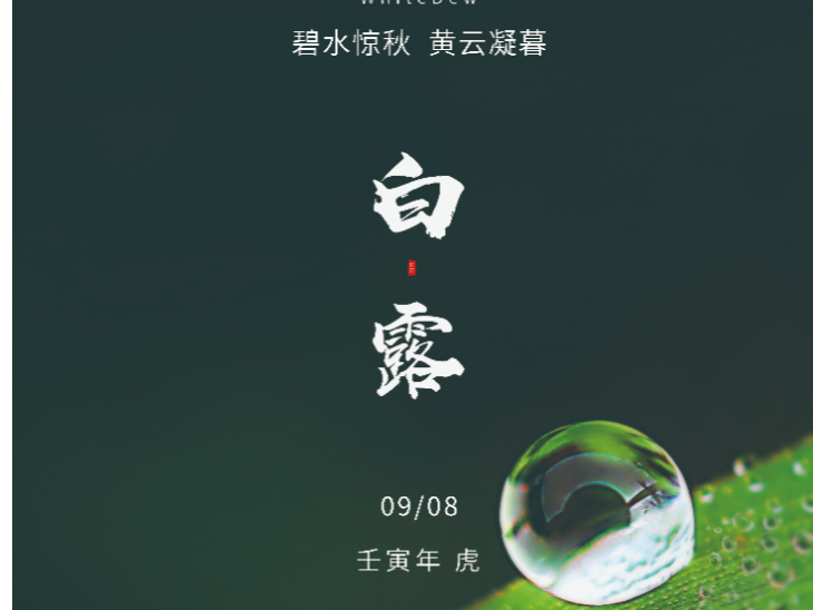 海报_Long_Meng-站酷ZCOOL