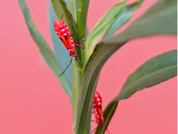 摄影日常-户外风景纪实_Shi叁CNx-站酷ZCOOL
