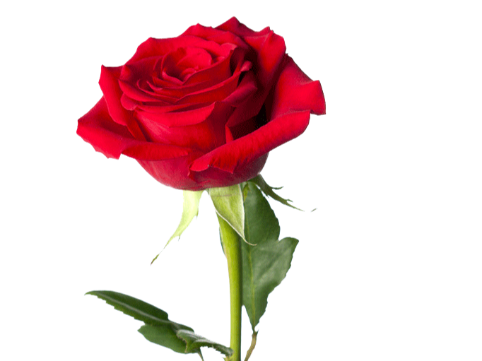 电影_阿悠悠DAN-站酷ZCOOL