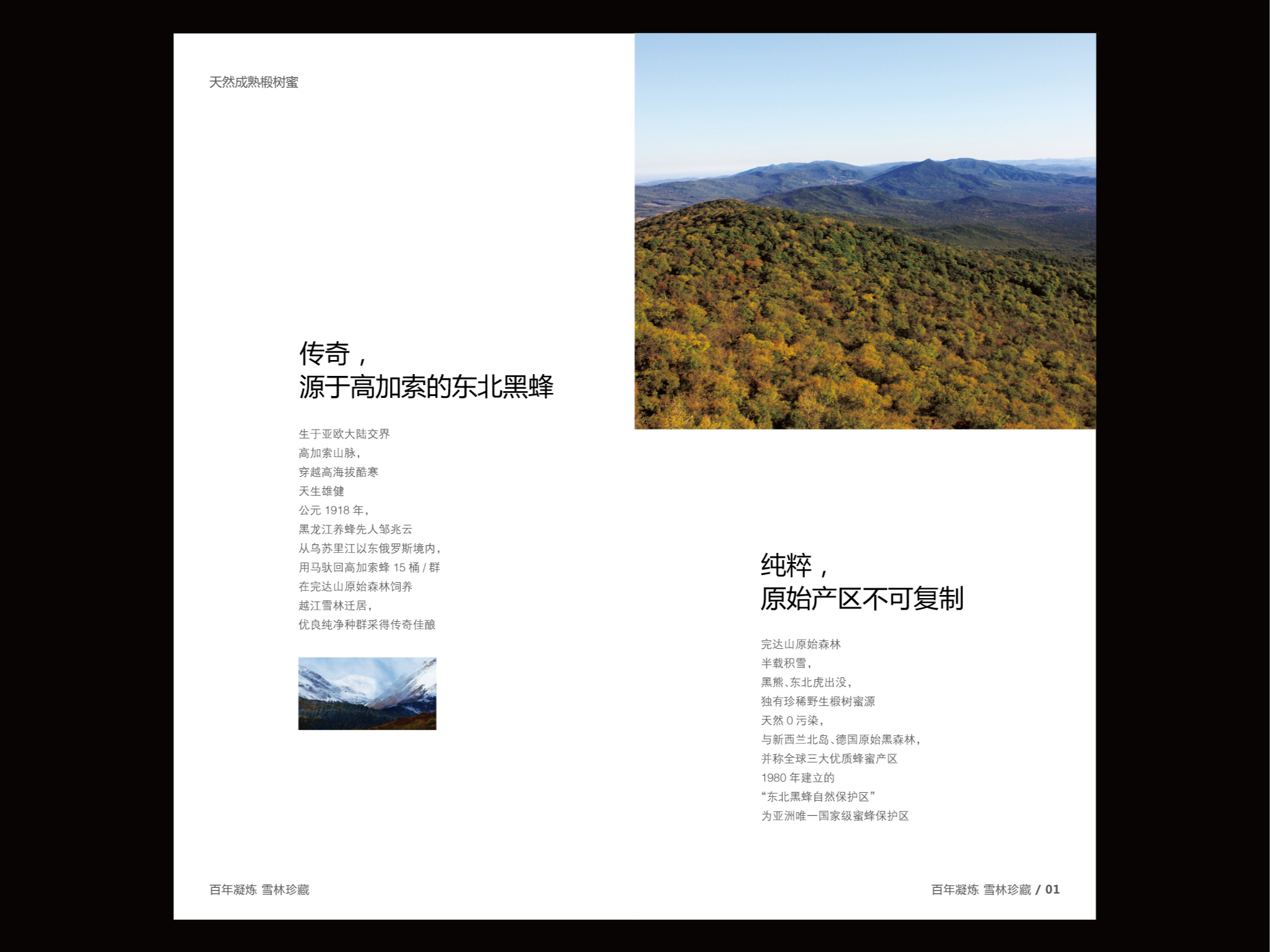 蜂蜜产品画册设计_Z54884949-站酷ZCOOL