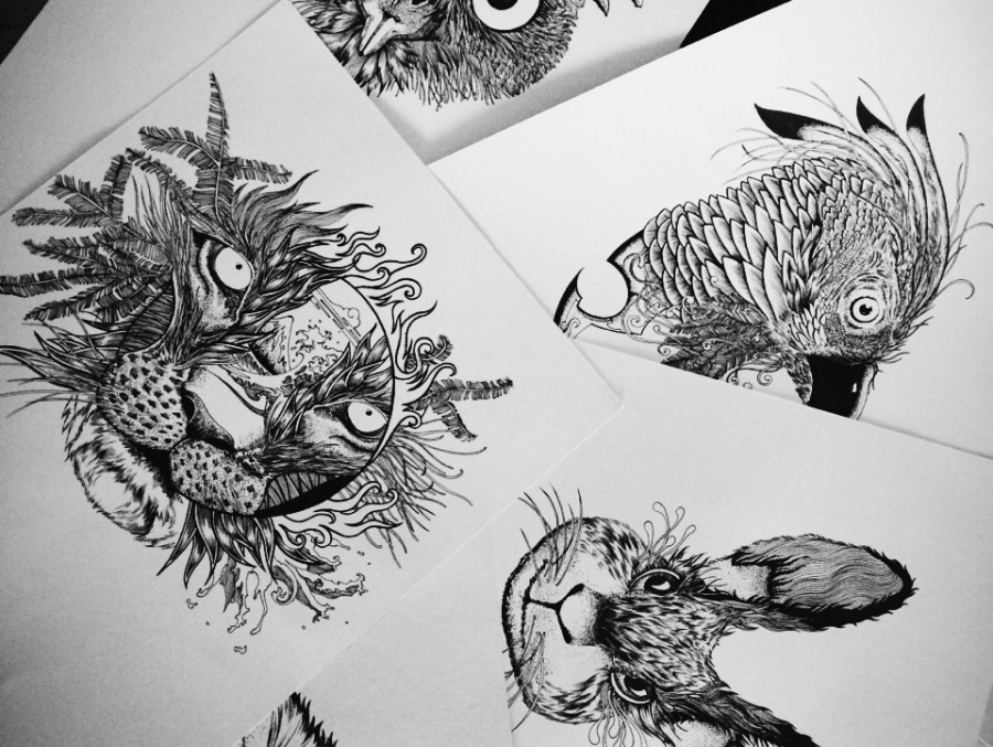 动物系列插画部分_守望者Swangzhe-站酷ZCOOL