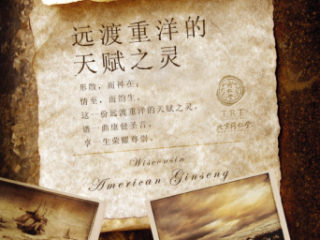 【产品报广】西洋参杂志广告_nuno-站酷ZCOOL