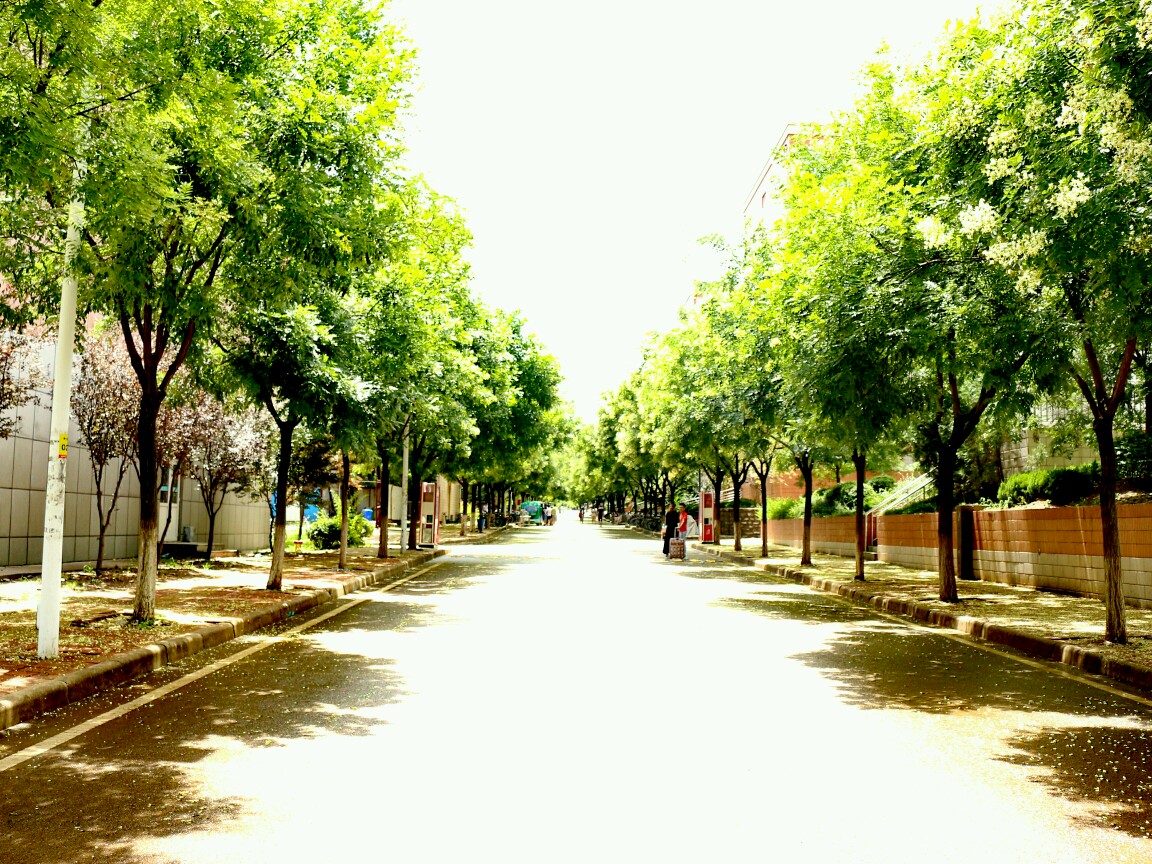 雨后光亮_NikoLan-站酷ZCOOL