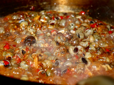 家乡螺蛳_kaka啦-站酷ZCOOL