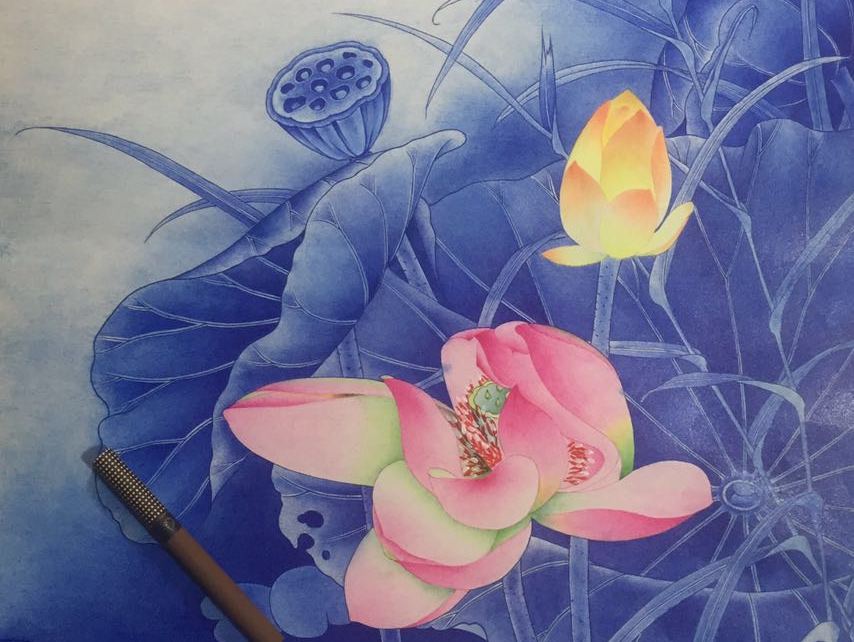 圆珠笔荷花系列_一诺手绘-站酷ZCOOL