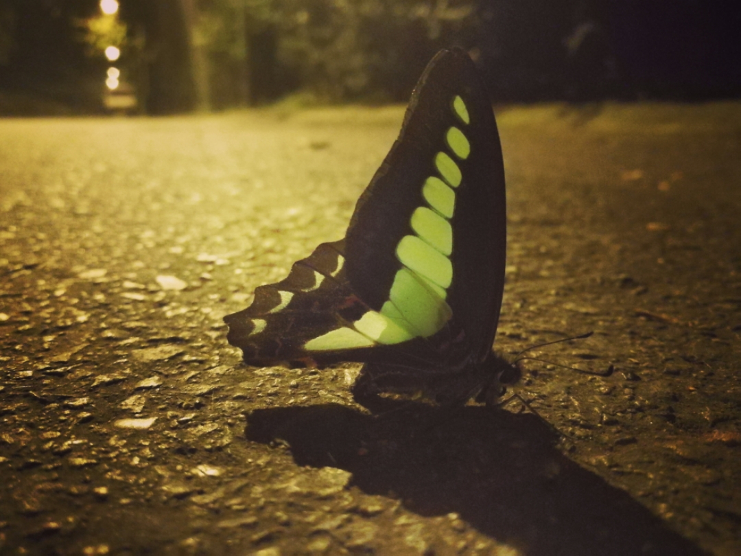 摄影_小贱贱233333-站酷ZCOOL