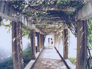 学校网站设计_AnnyJJ-站酷ZCOOL