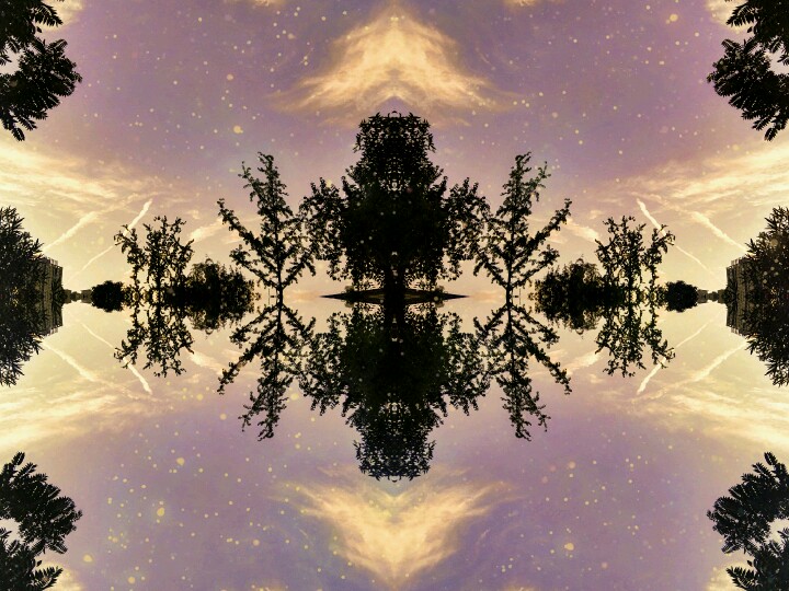 SKY_猫骨卍-站酷ZCOOL