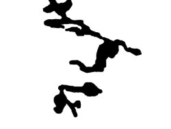 天花板的人像__Minnie-站酷ZCOOL