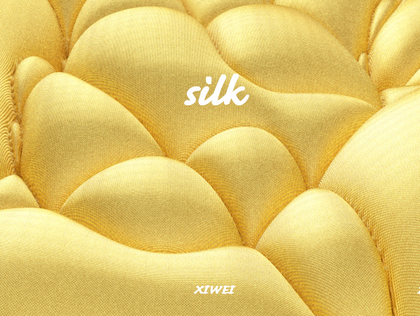 silk_蒋湘阳jxy-站酷ZCOOL