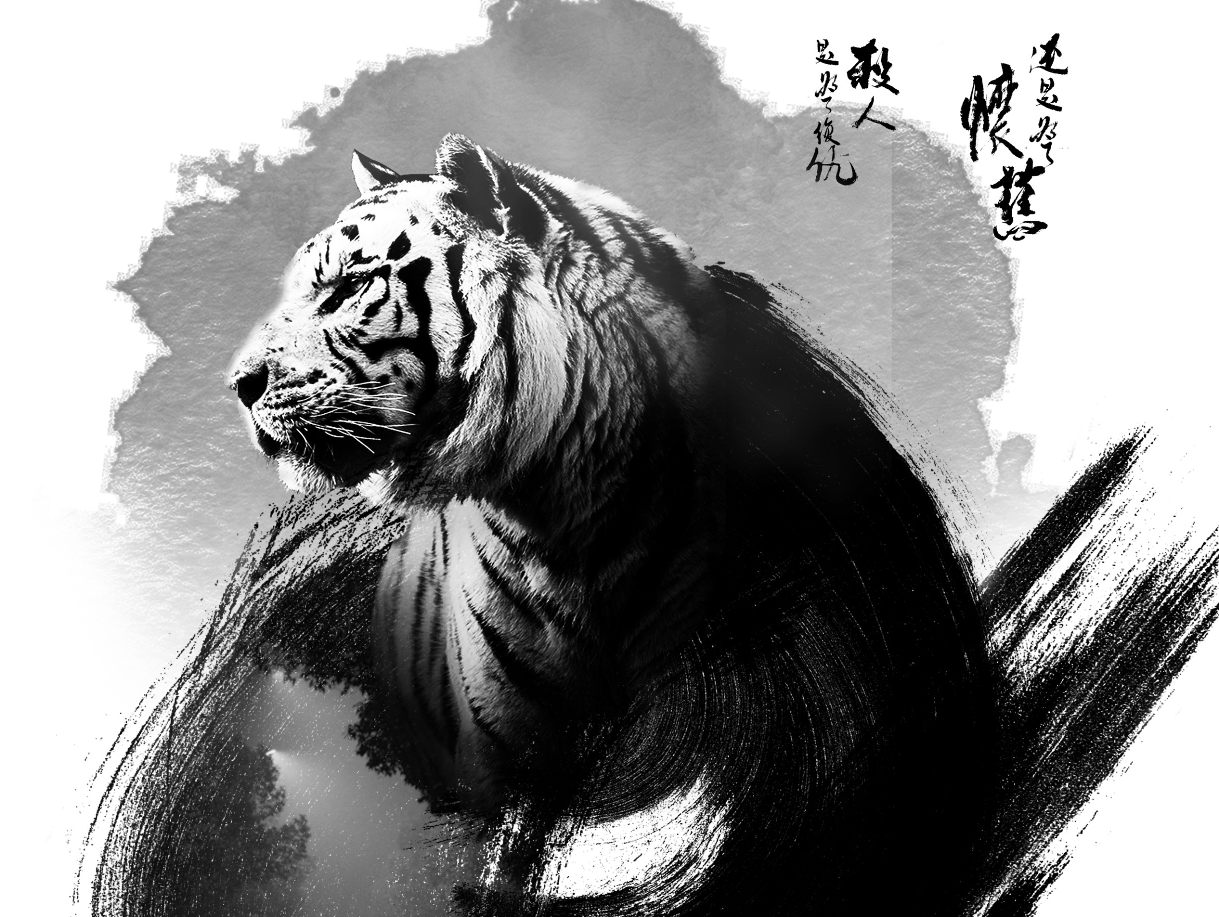 电影《白雾谜岸》预告海报-虎版_马克师_Marcus-站酷ZCOOL