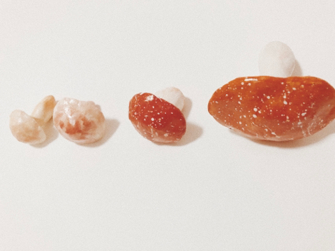 mo gu ~_椿奈-站酷ZCOOL