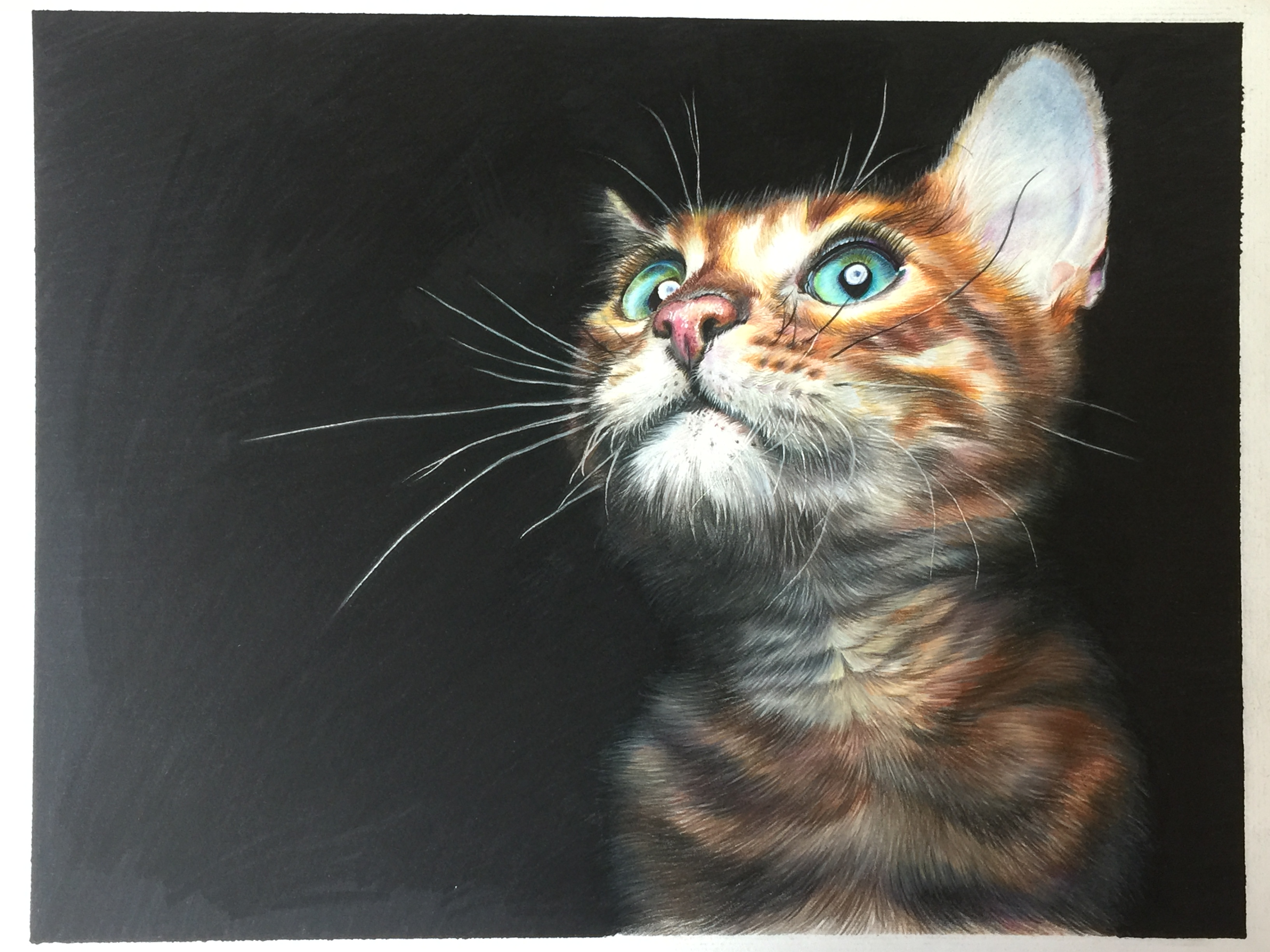 猫_潇核-站酷ZCOOL