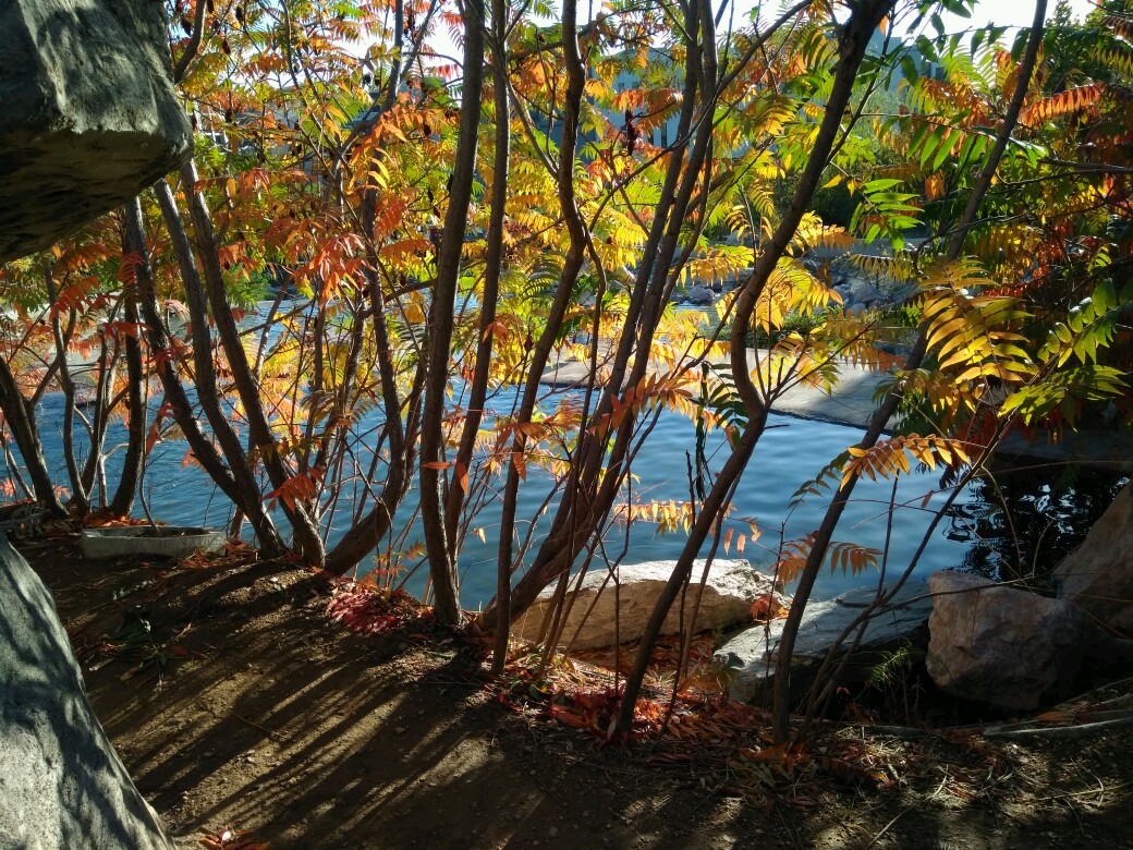 秋天的色彩_薄荷lala-站酷ZCOOL