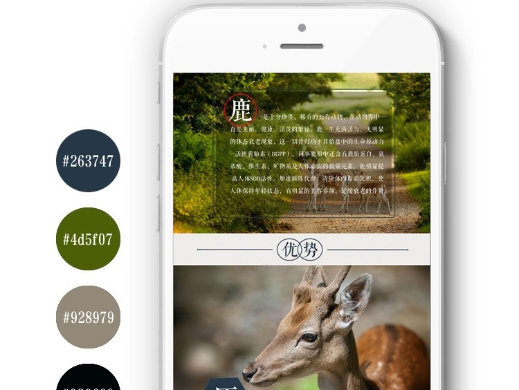 电子商务/商品详情页/新西兰进口NutraLife纽乐鹿胎盘素胶囊补气养血_Laihong-站酷ZCOOL