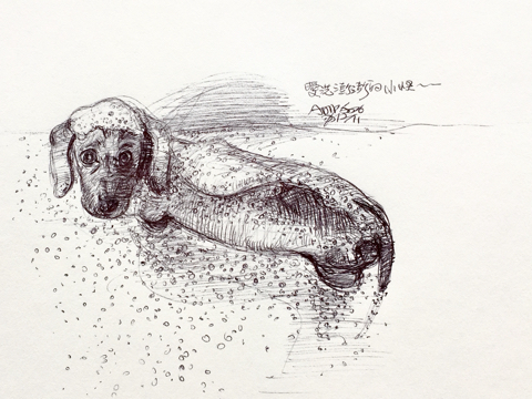 【愛洗澎澎的小怪】_addysoho-站酷ZCOOL