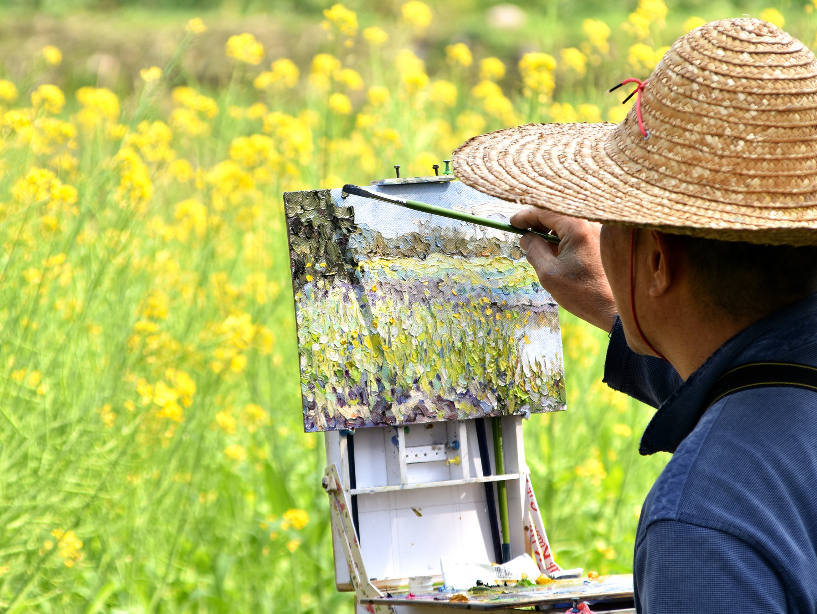 《油菜花田里的作画人》_Milk_miu-站酷ZCOOL