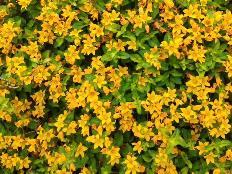 往近看_鹤飞向南-站酷ZCOOL