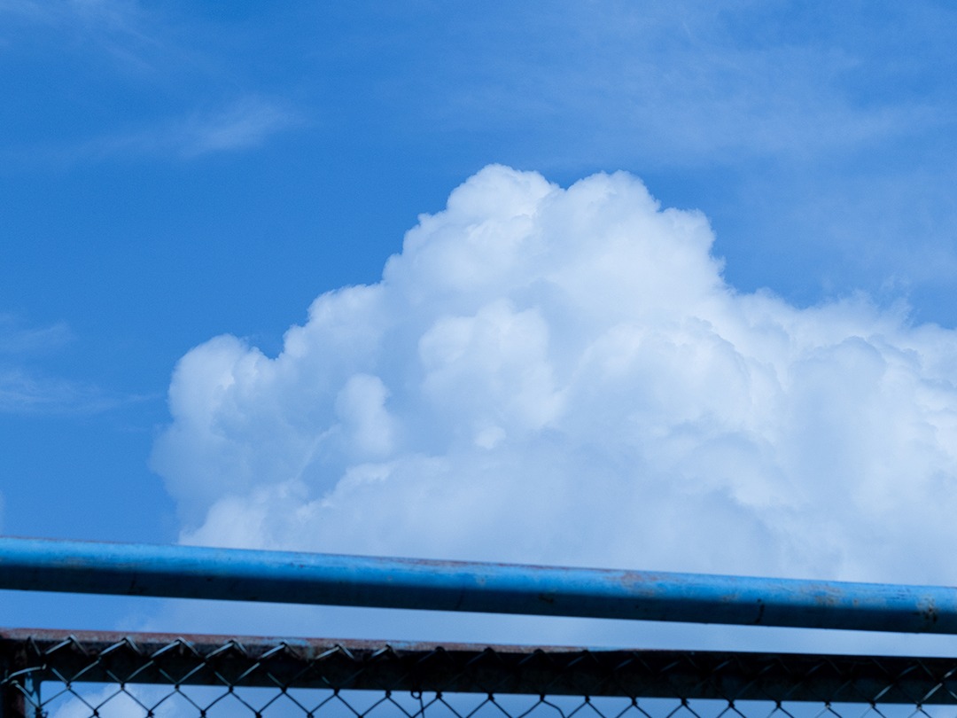 云师的绿意_小草纸-站酷ZCOOL