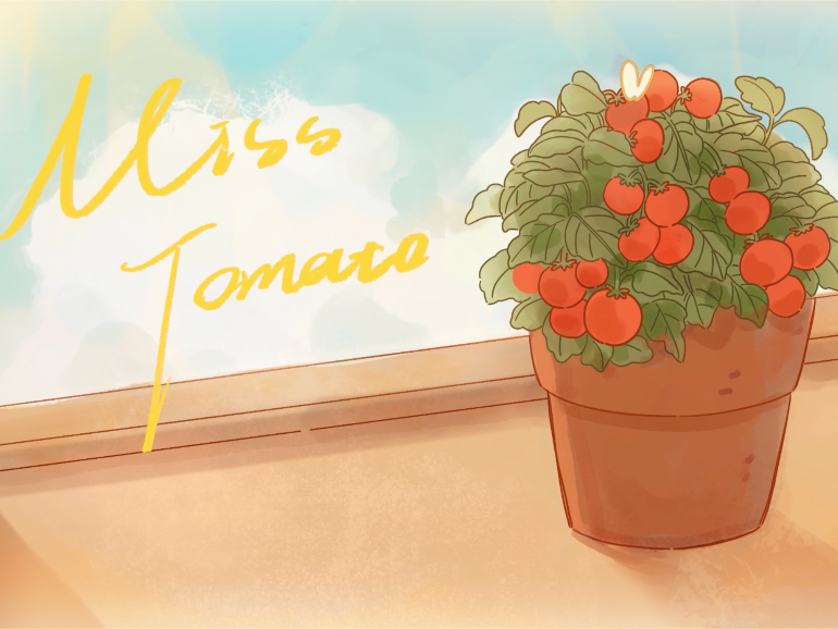 动画短片｜Miss Tomato_Changcccc-站酷ZCOOL