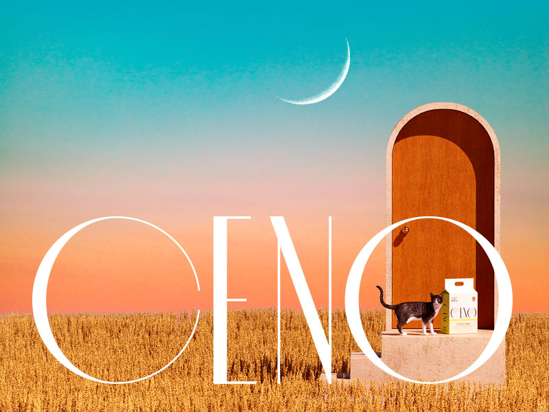 CENO奇若品牌设计_吾苍山-站酷ZCOOL