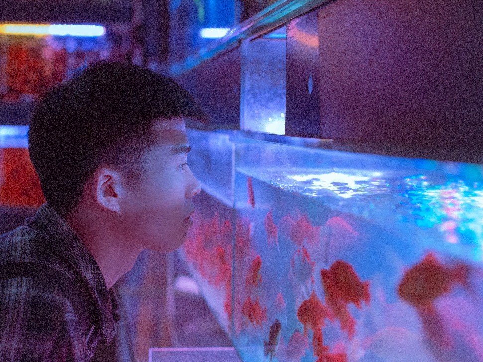 长沙鱼市_困在slin啊-站酷ZCOOL