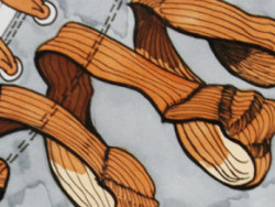 青春飞扬_茕兔a-站酷ZCOOL