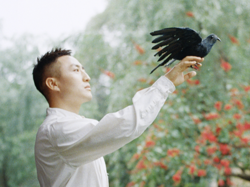 天然去雕饰_Aphysama-站酷ZCOOL