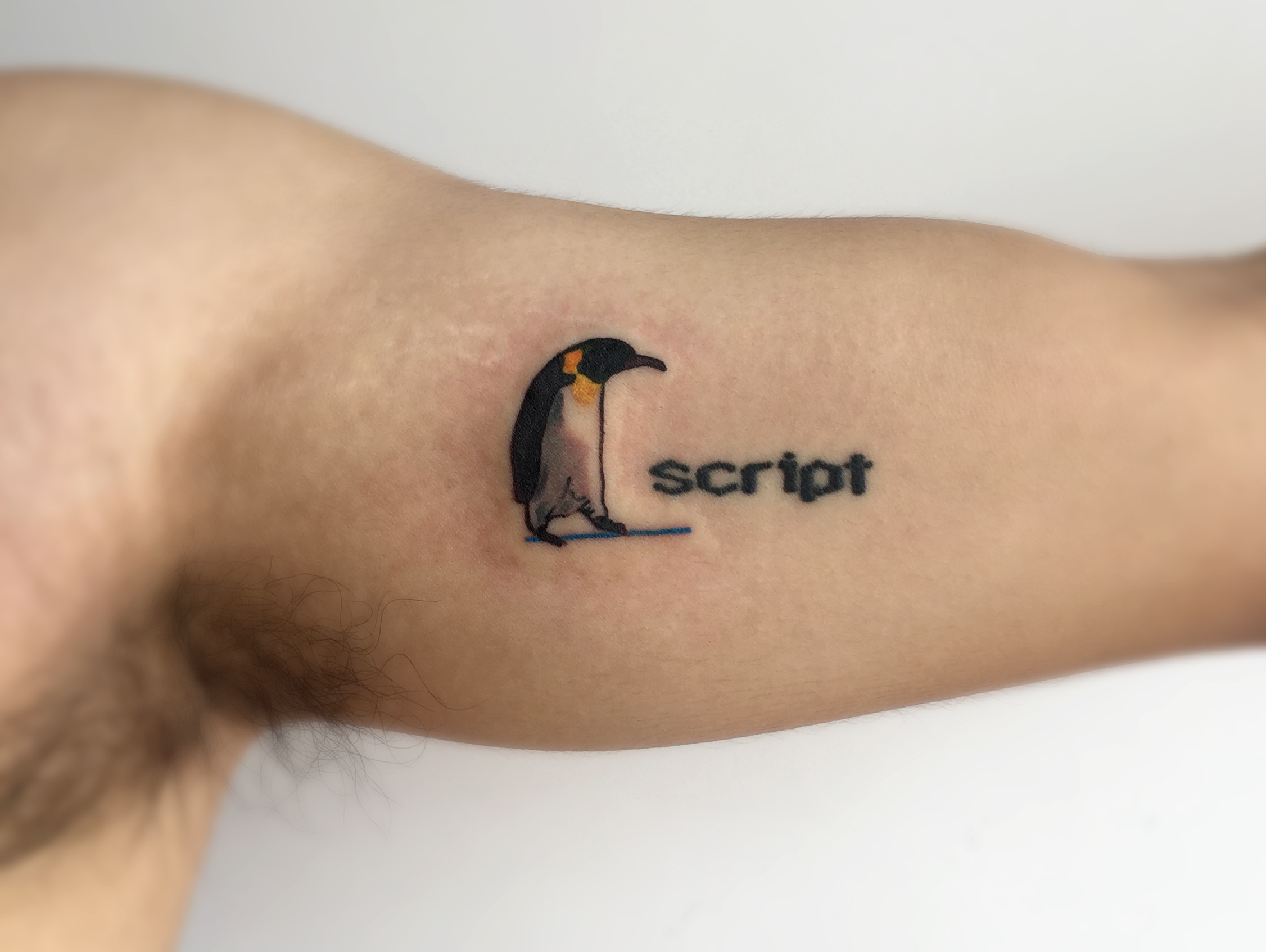 一组小清新_2nu7lg-站酷ZCOOL