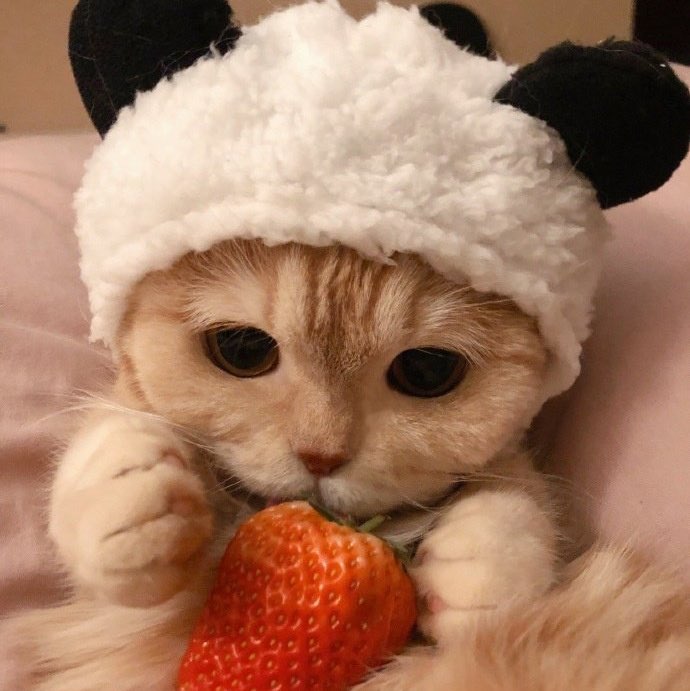 Z09489467个人主页_江门学生-站酷ZCOOL