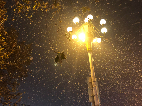 下雪_Z905299403-站酷ZCOOL