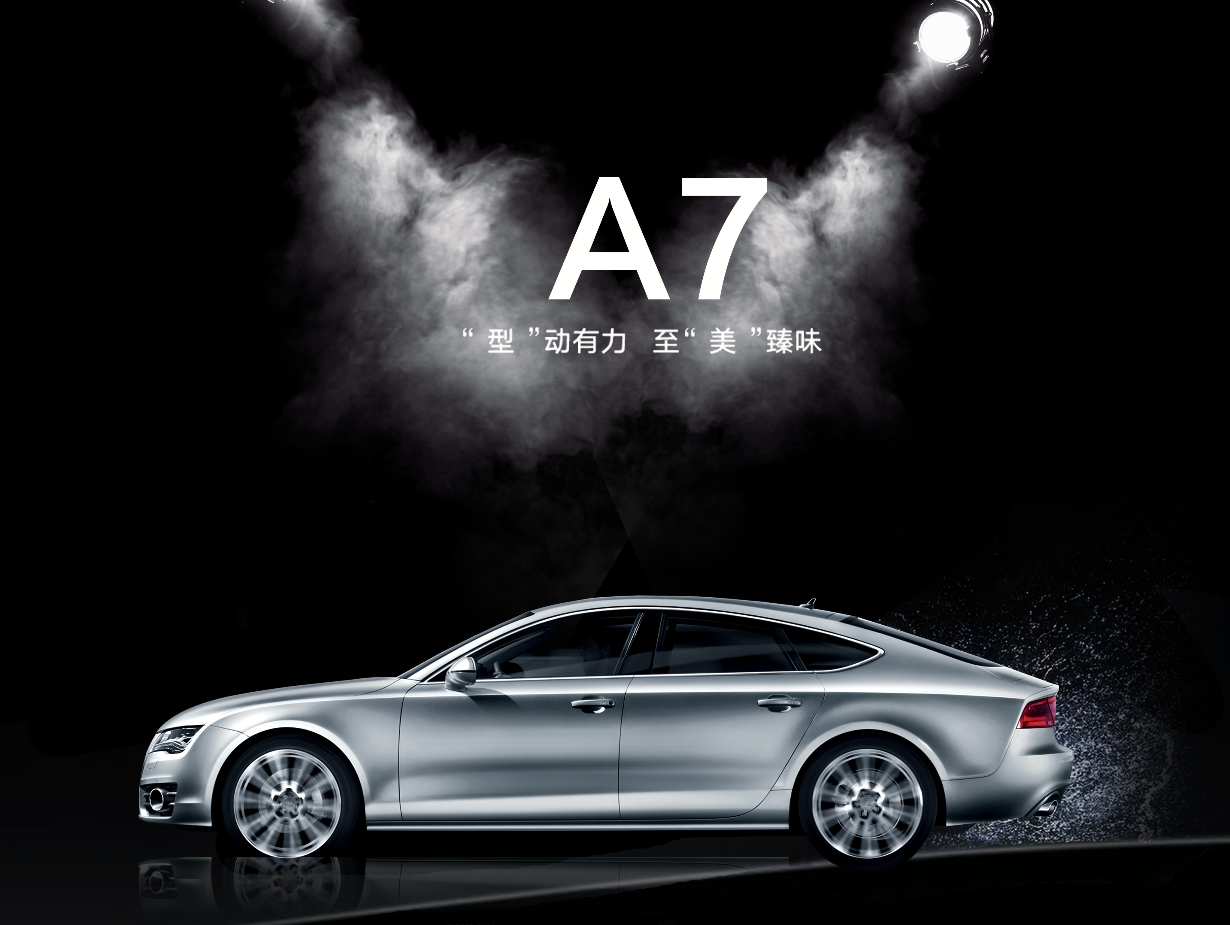 不一的a7_呆帅小企鹅-站酷ZCOOL