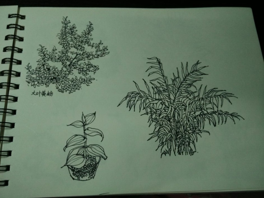 速写练习作_Precious烙印-站酷ZCOOL