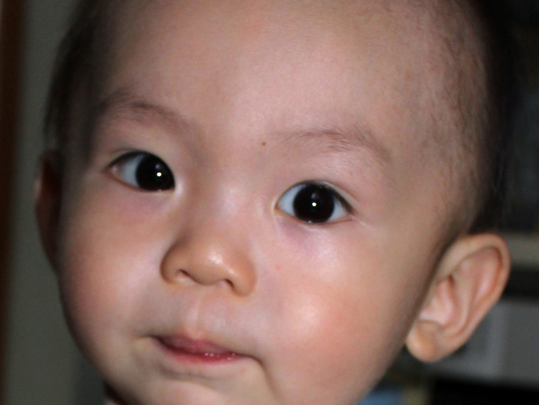 大眼BB_gdcrl-站酷ZCOOL