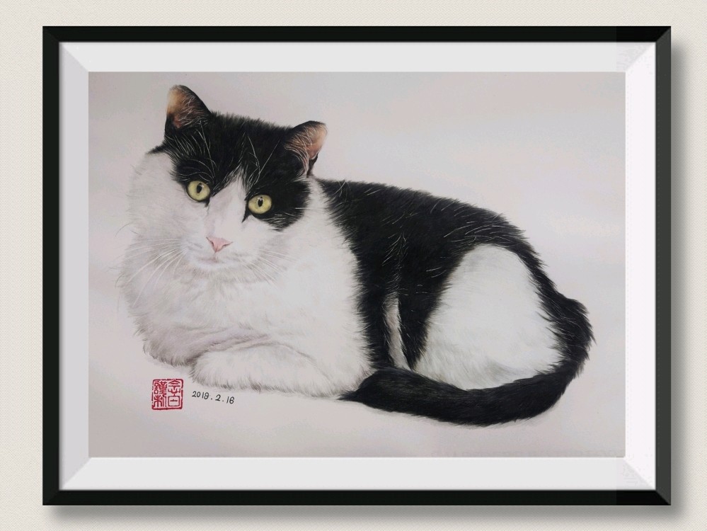 流浪的小猫_Rinka谨制-站酷ZCOOL