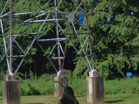 森_ZxxW-站酷ZCOOL