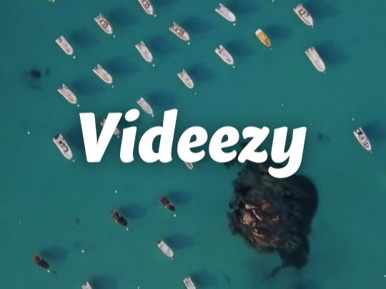 Videezy - 提供高质量设计素材、4K视频素材下载的网站，大部分都可以免费商用_thosefree-站酷ZCOOL