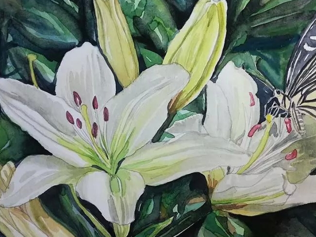 百合与蝴蝶_zhl1988-站酷ZCOOL