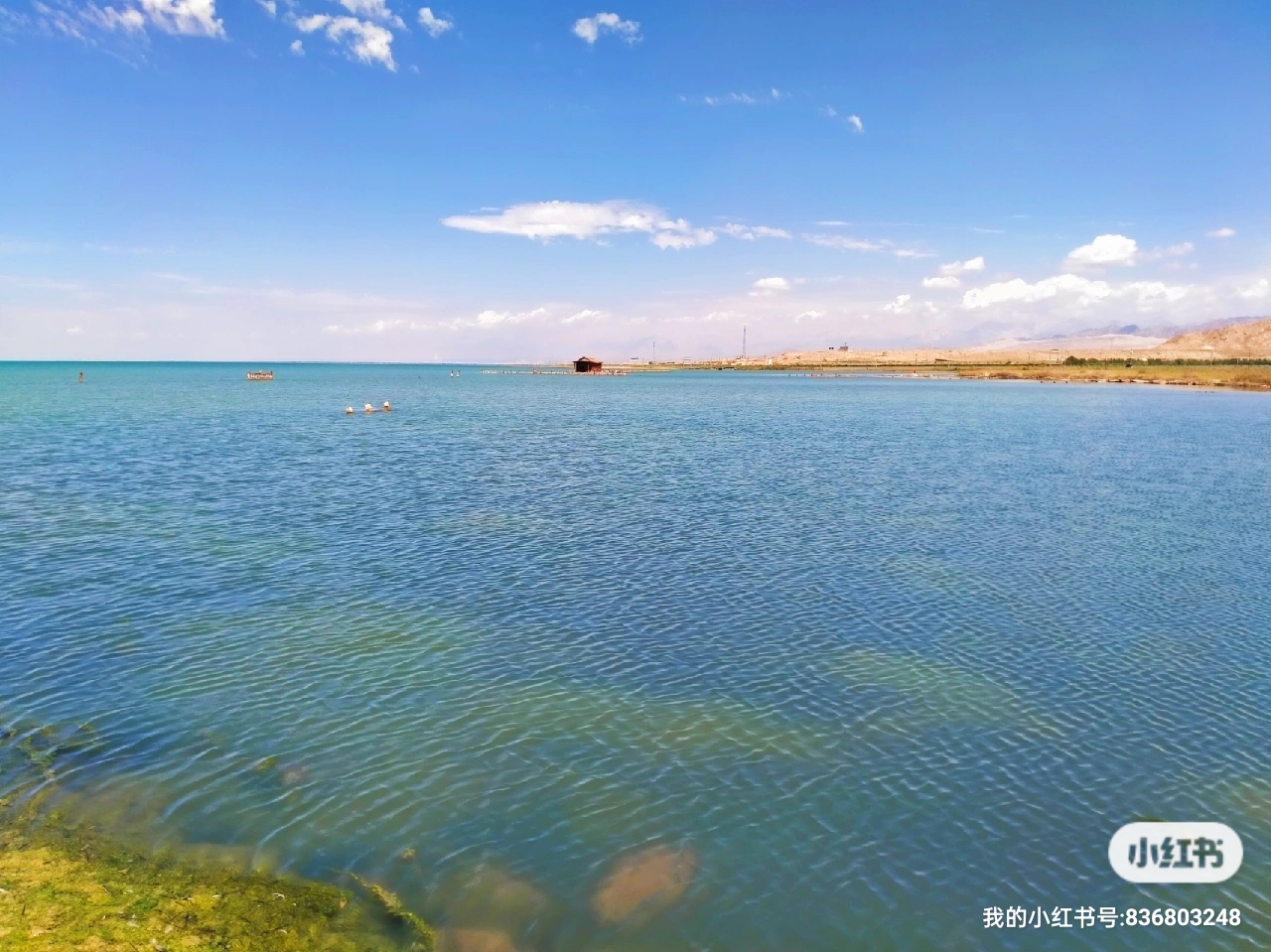 大美青海之《尕海与小柴旦湖》_蓝爱-站酷ZCOOL