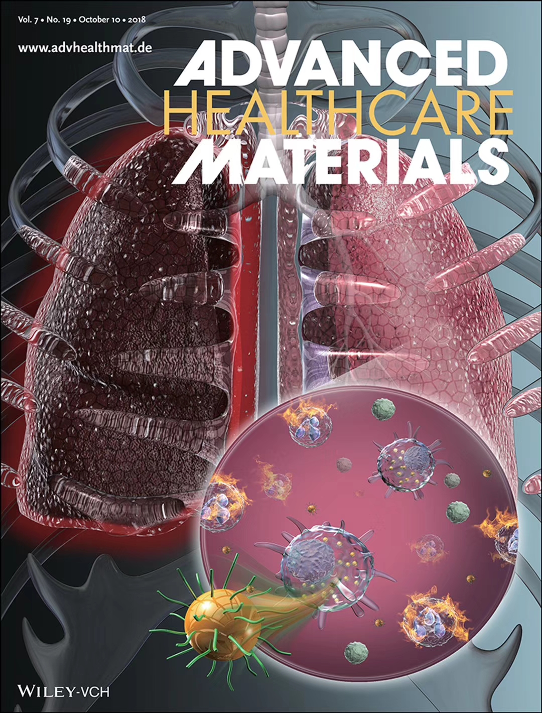 SCI学术期刊杂志封面设计/科研绘图/Adv.Health.Mater _北京中科幻彩-站酷ZCOOL