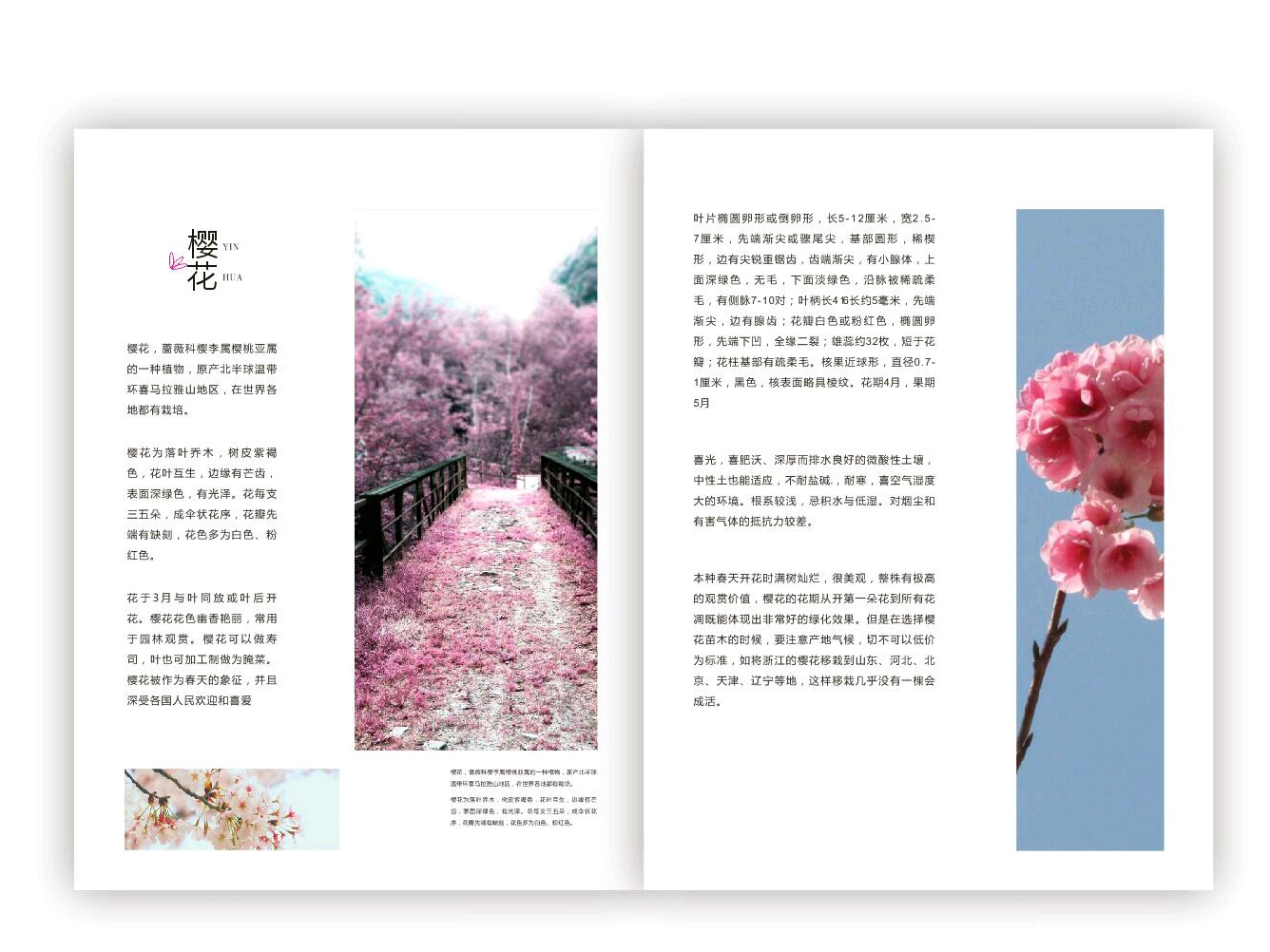 画册练习_田丽妮i-站酷ZCOOL