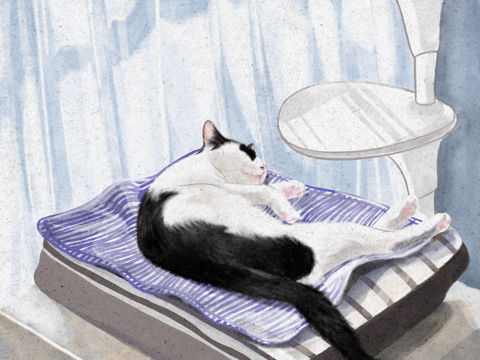 岁月静好2_0Lin0-站酷ZCOOL