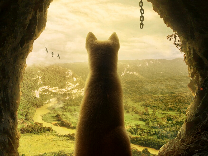 海报设计_天控Js-站酷ZCOOL