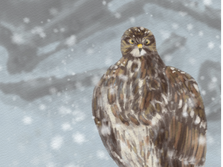 小动物和下雪天更配day5_瑾廷-站酷ZCOOL