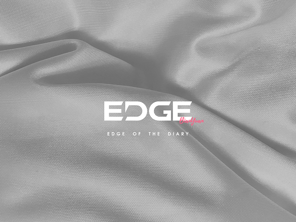 EDGE品牌VI_lll67-站酷ZCOOL