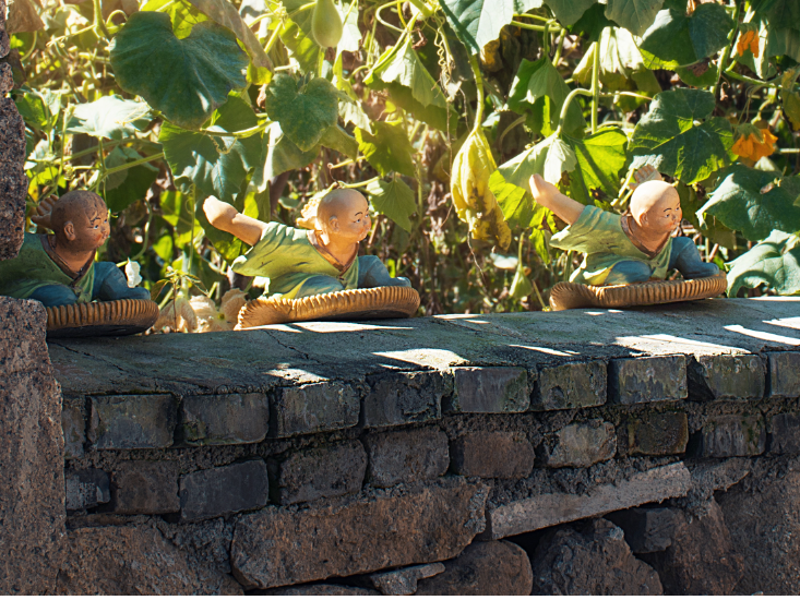 第一季蘑菇屋_风君子8815-站酷ZCOOL